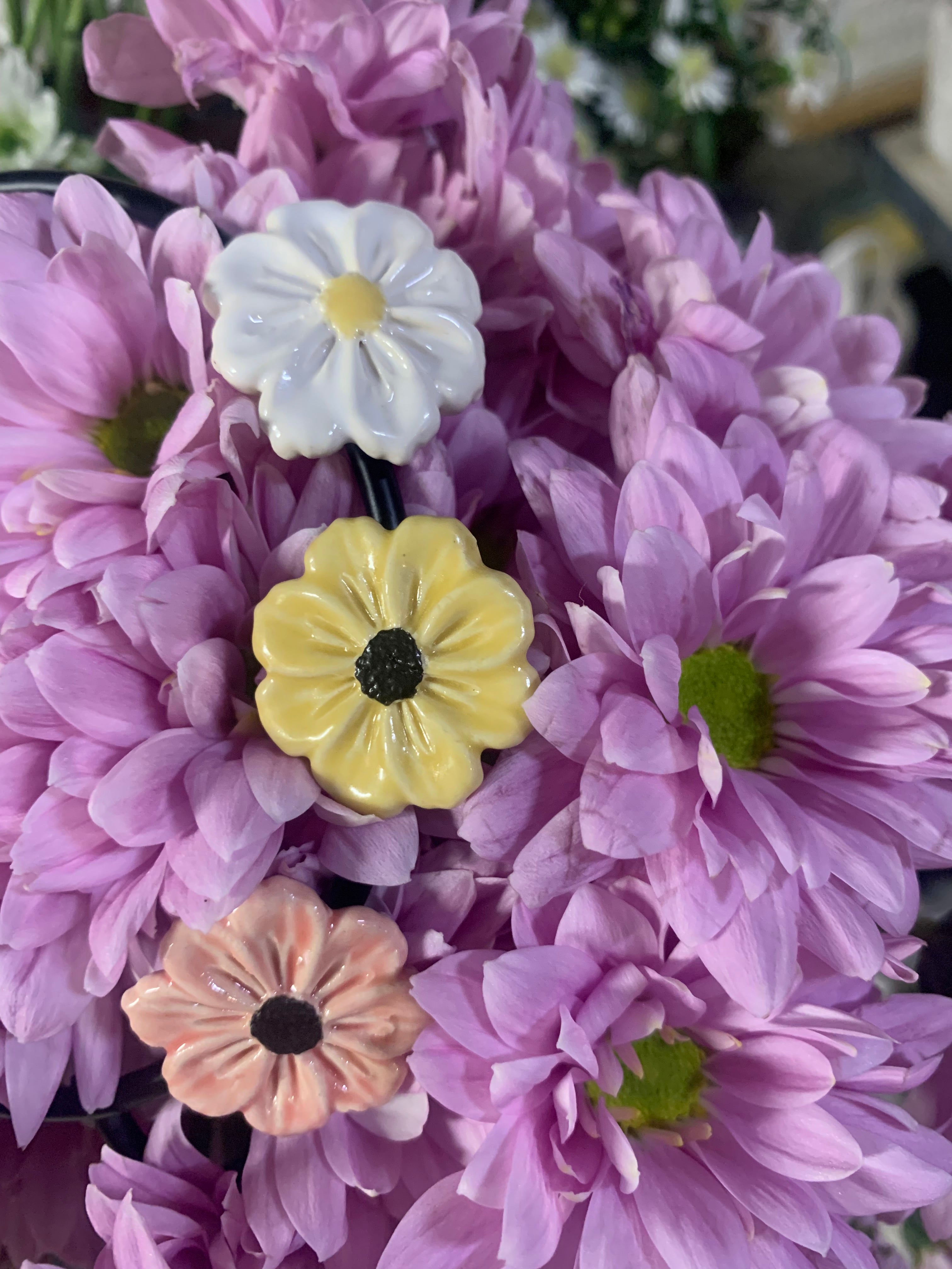 Small flower magnets – Pantless Potter